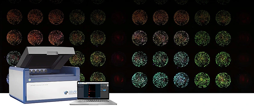 Axonlab - Connecting Ideas
