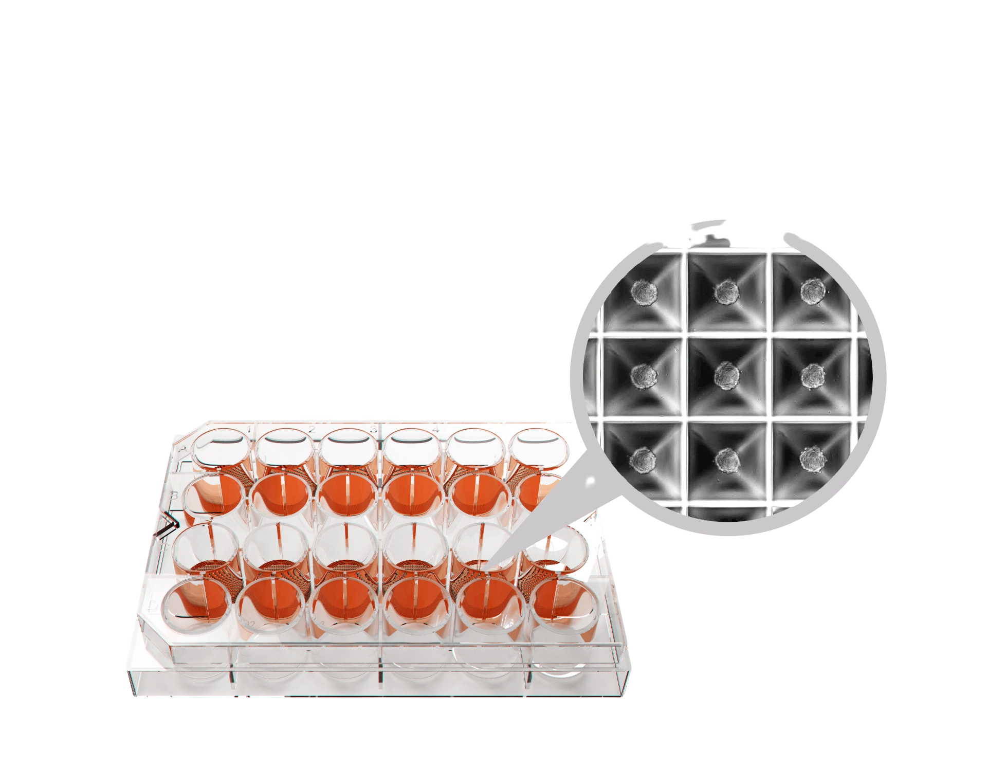 Laborbedarf kaufen | Axonlifescience